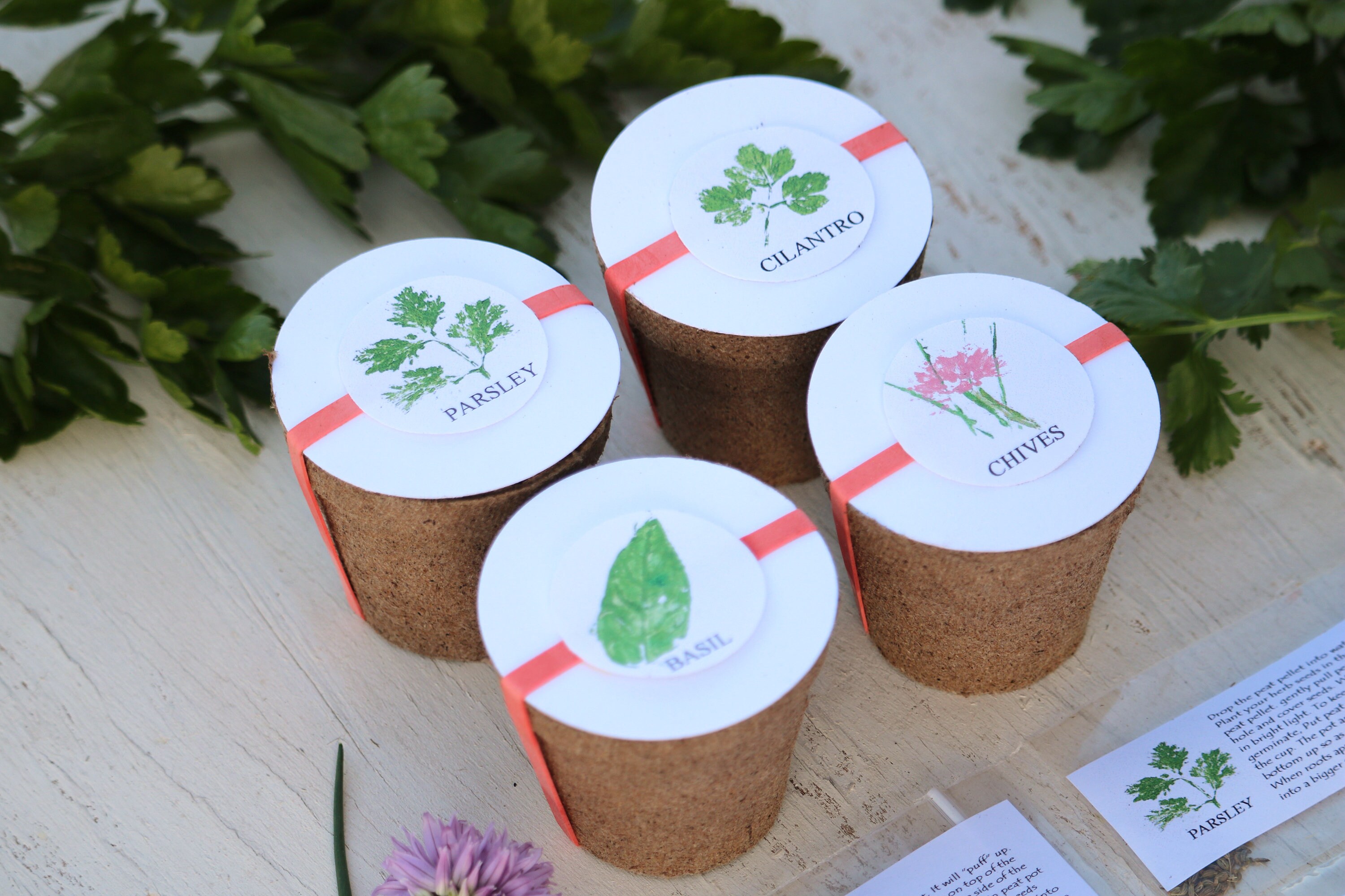 Herb wedding favors set of 4 herb kits garden party favor | Etsy