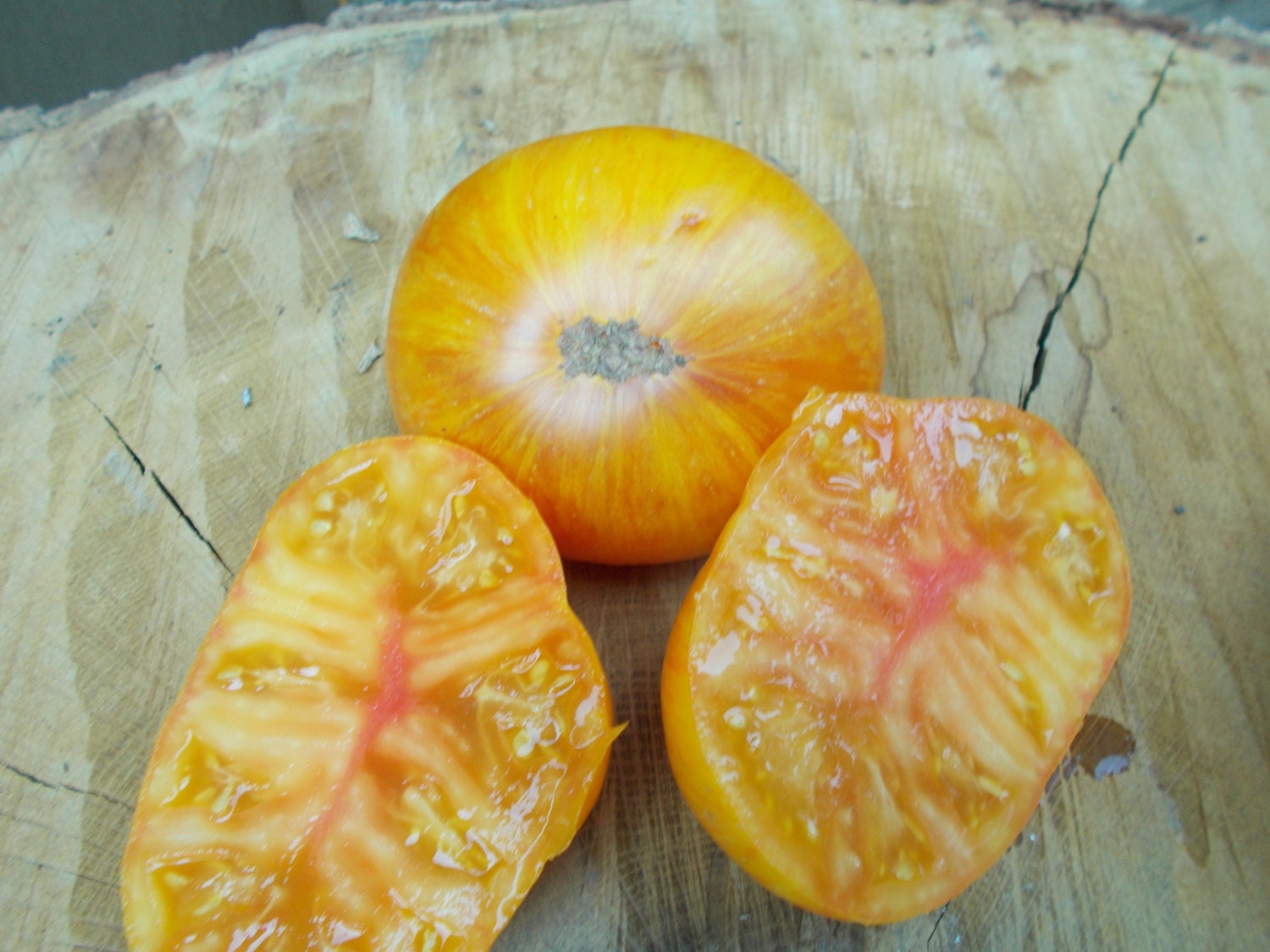 Big Yellow Zebra Tomato Seeds Heirloom Tomato Organic Seeds - Etsy