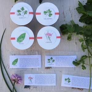 Herb Wedding Favors Set of 4 Herb Kits Garden Party Favor - Etsy