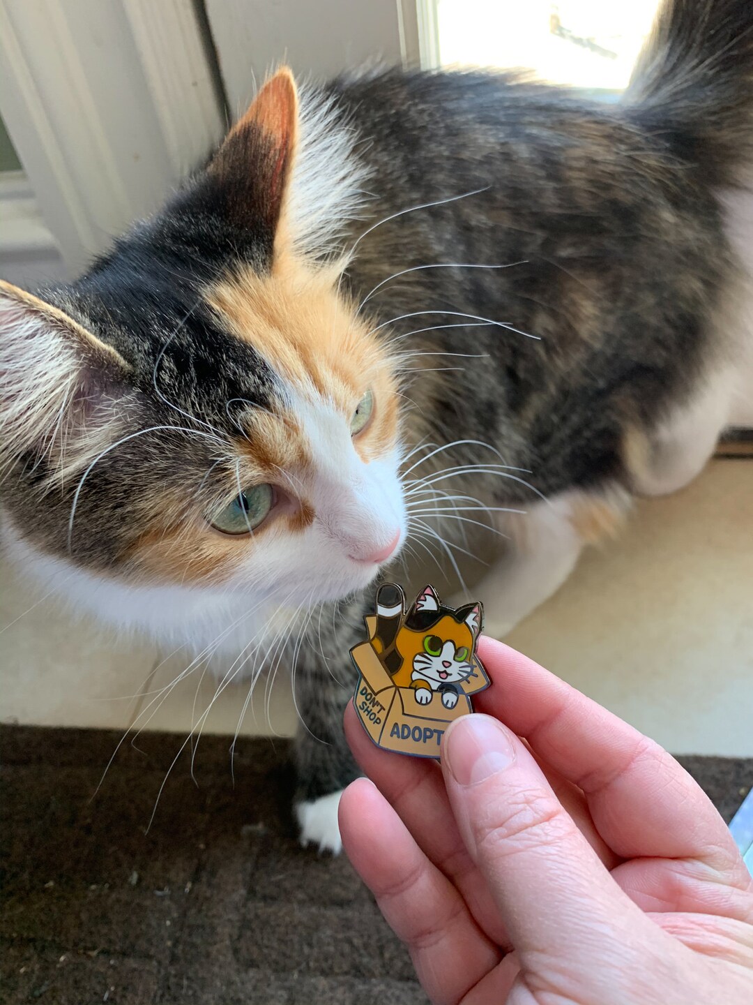 Calico / Tabby / Caliby Cat Enamel Pin - Etsy