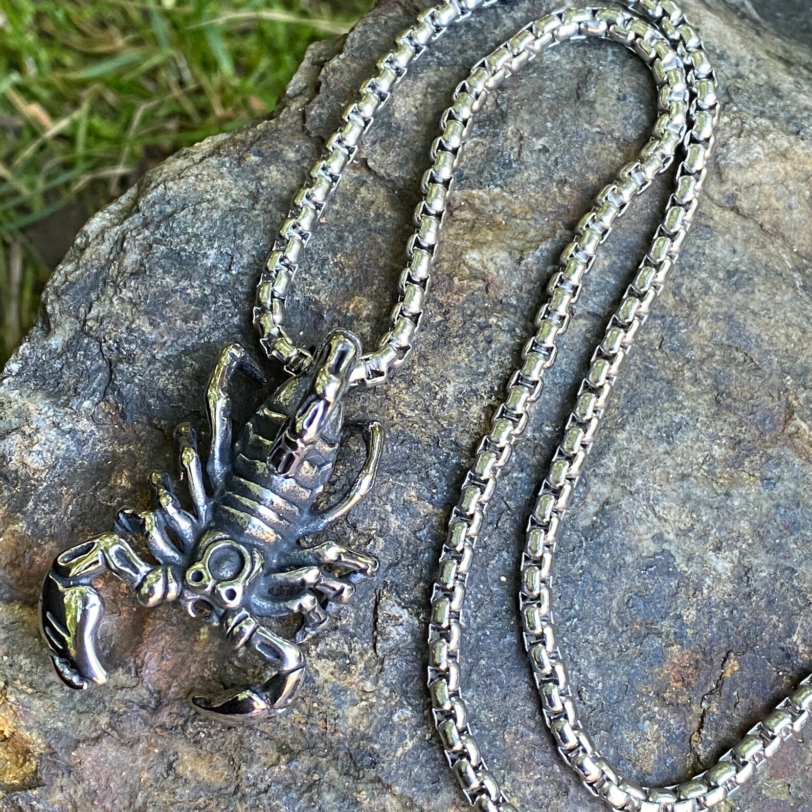 HN62 Scorpion Stainless Steel Pendant on 3MM Braided Chain - Etsy