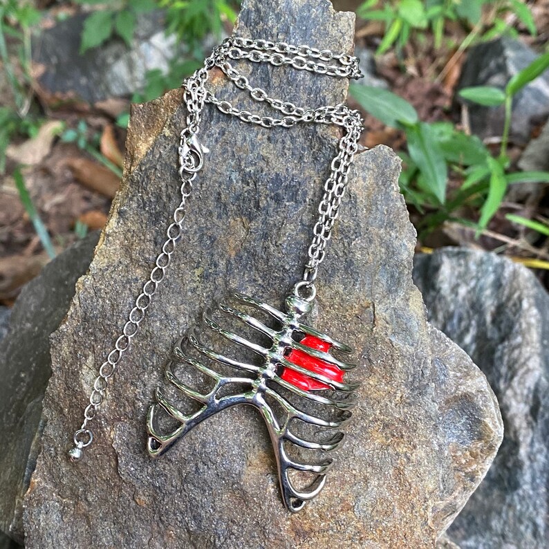 HN05. Anatomical Exposed Red Enamel Human Heart Rib Cage - Etsy
