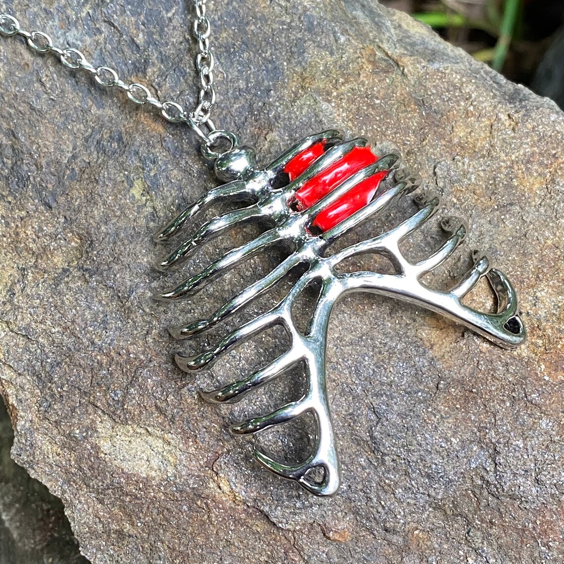 HN05. Anatomical Exposed Red Enamel Human Heart Rib Cage | Etsy