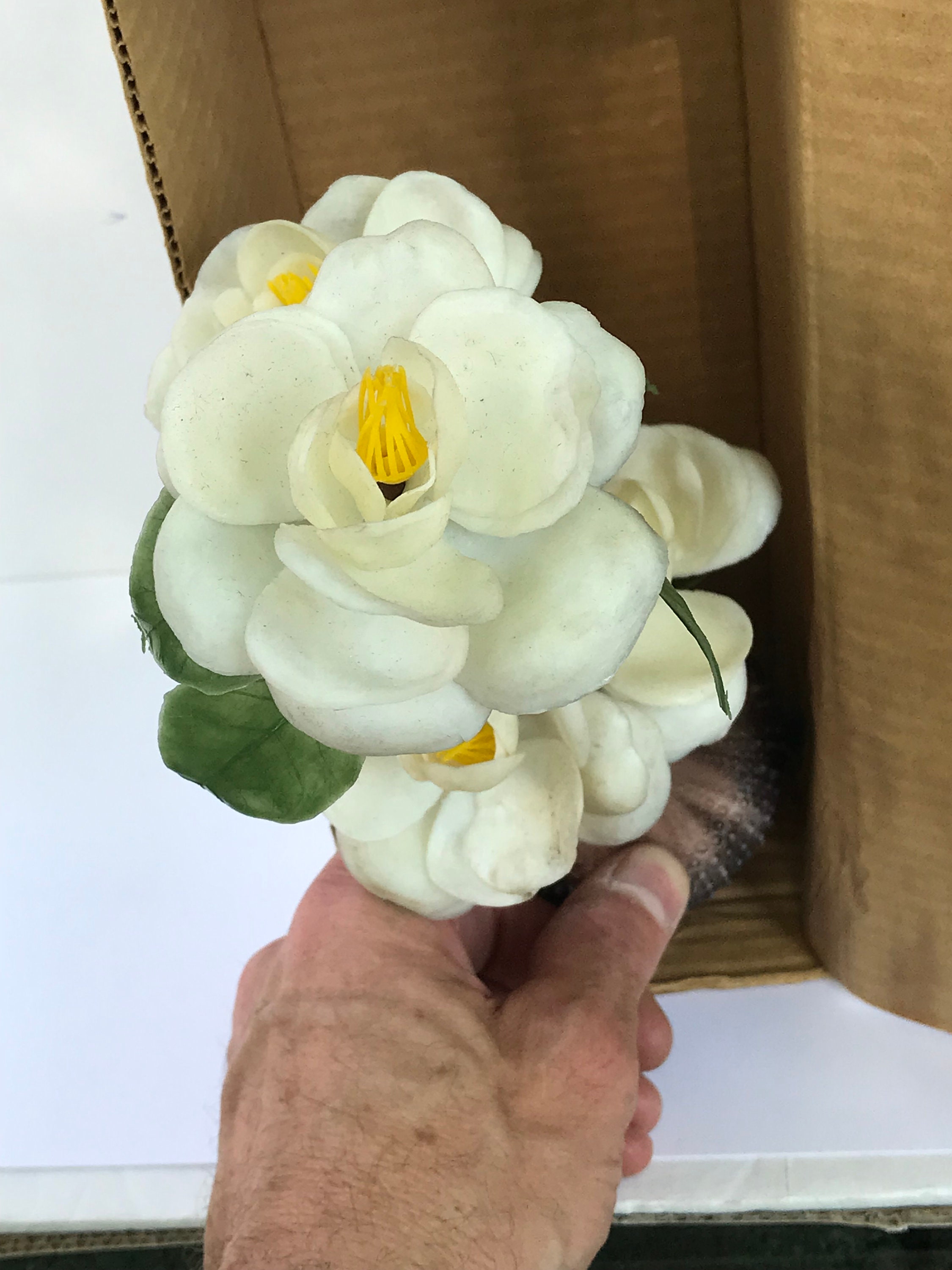 Vintage dime store camellia faux flower /plant in original | Etsy