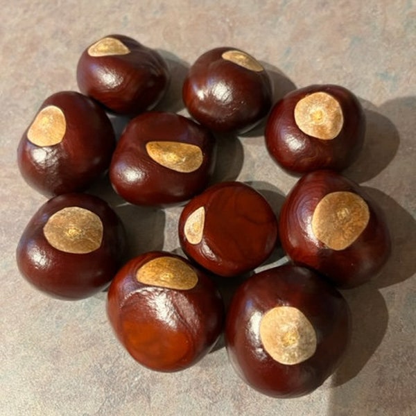 Buckeyes - Etsy