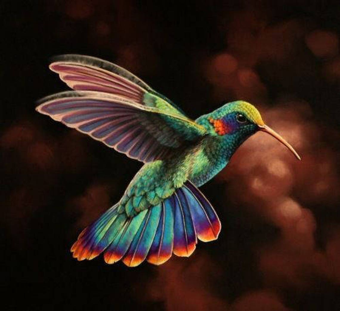 Hummingbird_1 Counted Cross Stitch Pattern, 14 Ct Aida, Instant ...