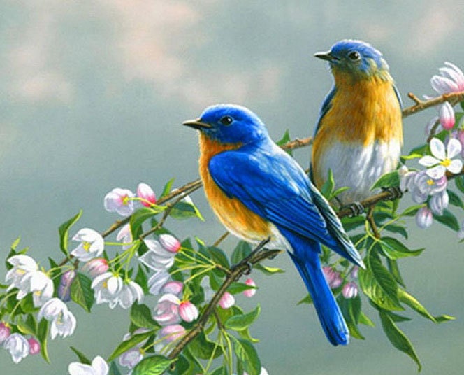 Two Birds on a Branch Cross Stitch Pattern 14 or 18 Ct. Aida - Etsy