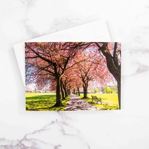 Edinburgh Postcard Pack, Scottish Edinburgh Postcard Set, Multipack of ...