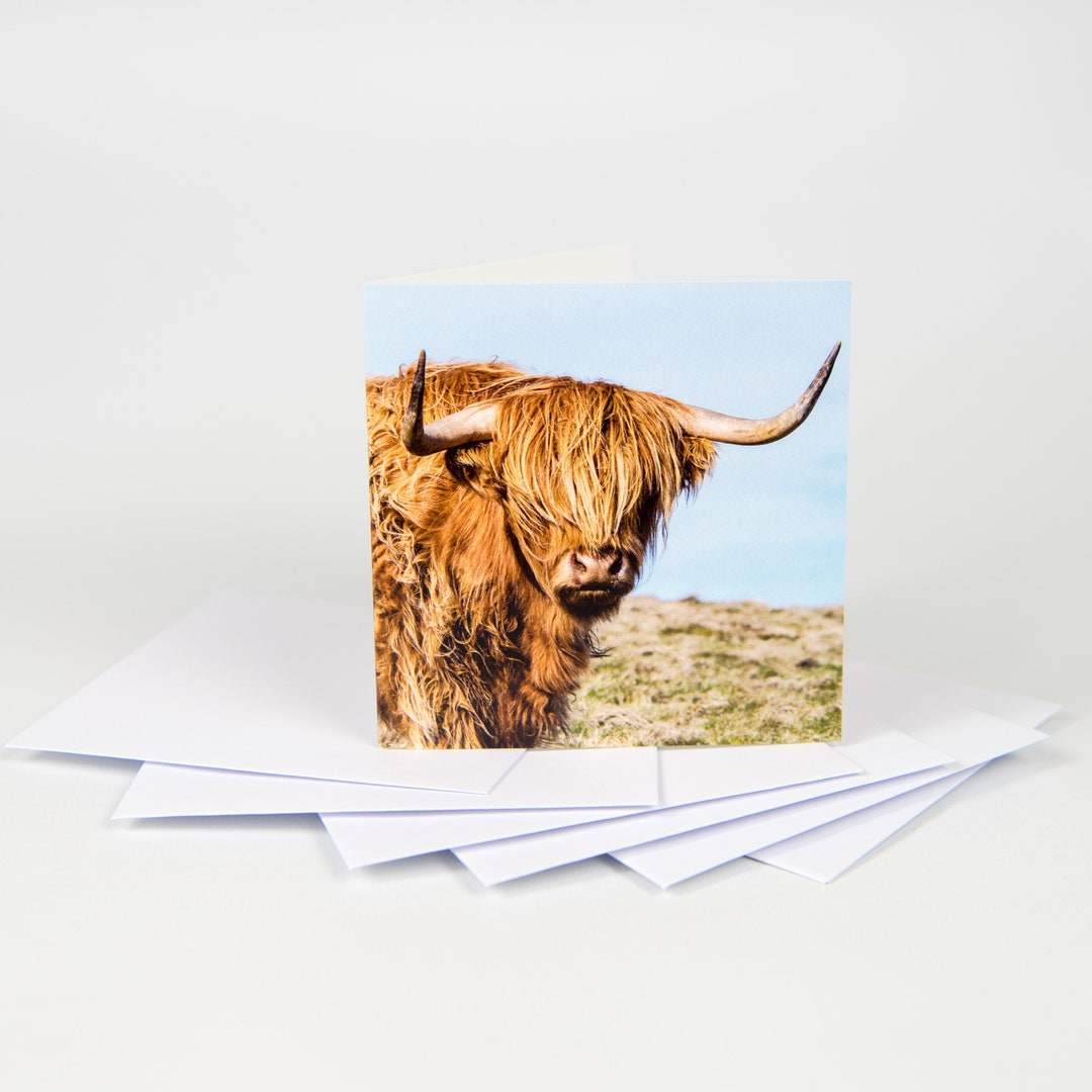 Highland Cow Notelets, Scottish Hairy Coo Notelets, Multipack Blank ...