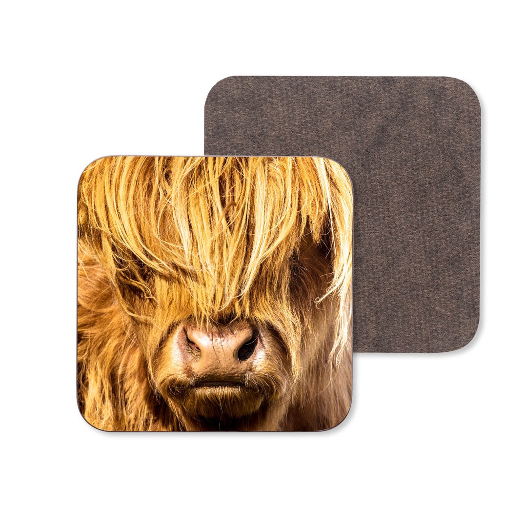Highland Cow Coaster-highland Cow Print Highland Cow Art Scottish ...