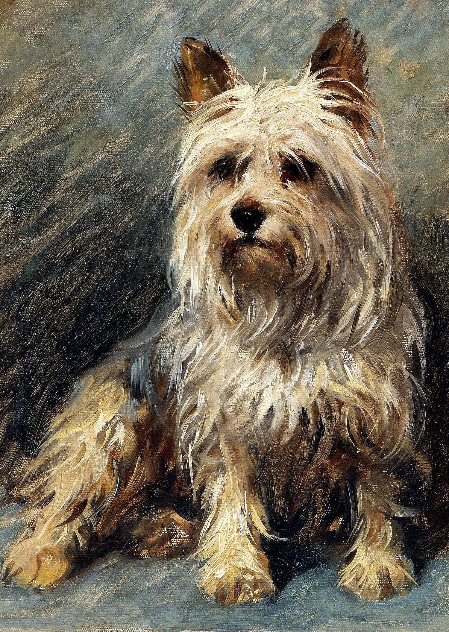 Sweet Yorkie Portrait. Prints & notecards of vintage Victorian | Etsy