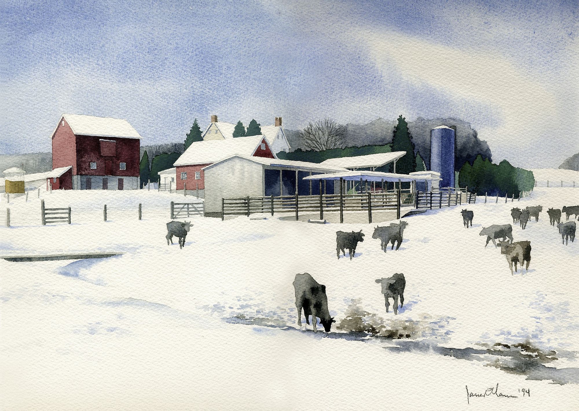 American Heartland Winter Landscape. Cows in Snow on Farm With Red ...