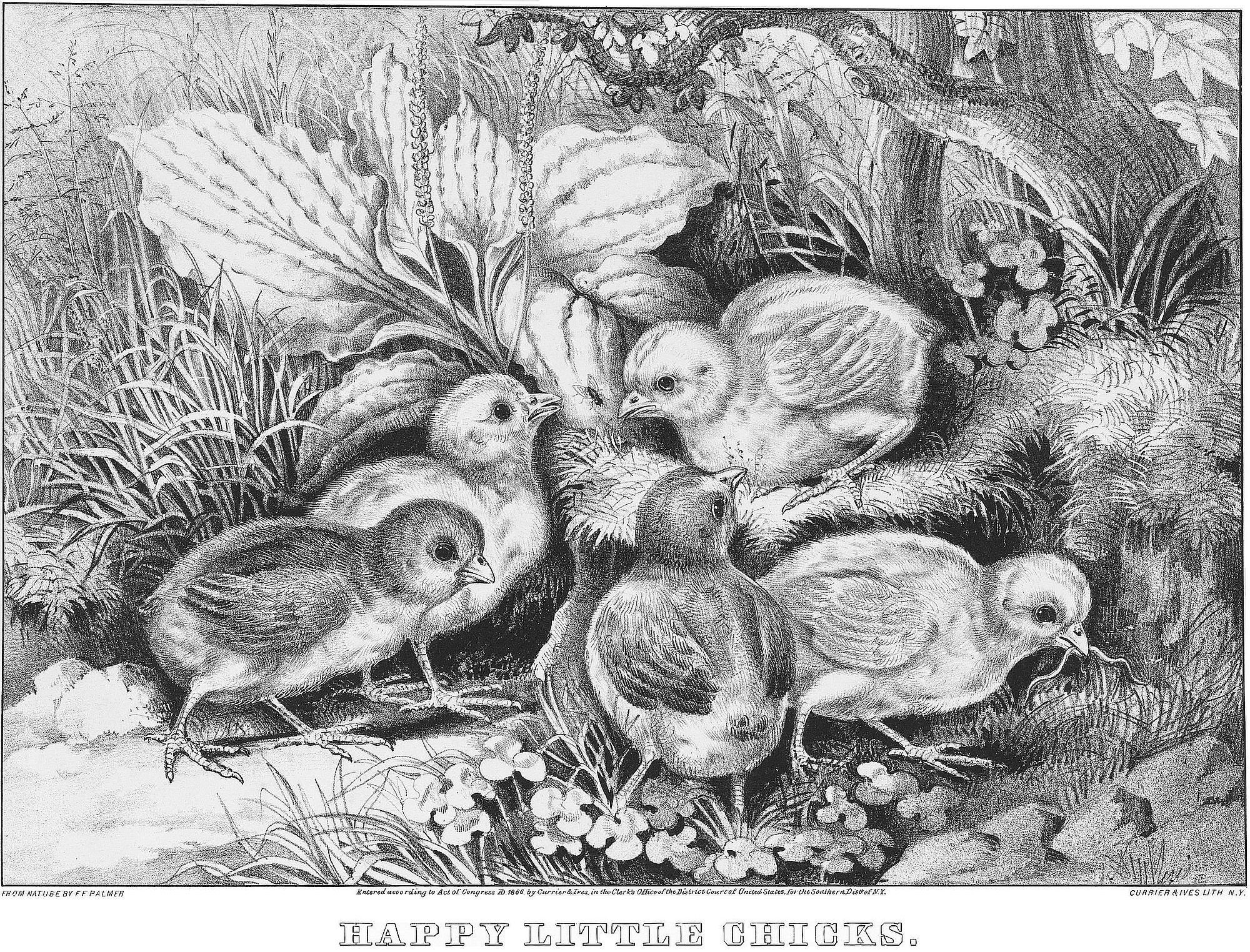 Spring Peeps Vintage Art Printable Coloring Pages. Victorian | Etsy