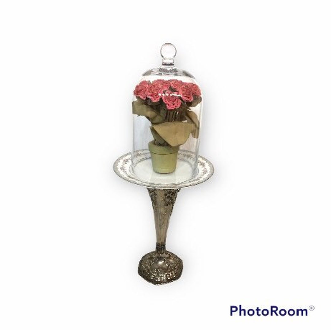 Desert Stand Glass Dome Desert Server Tall Silver Cake - Etsy