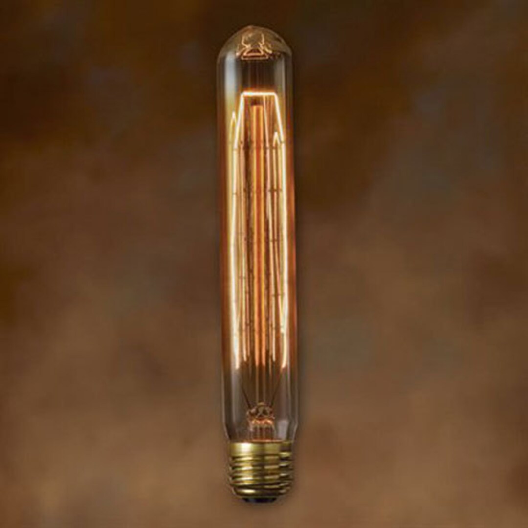 Edison Bulb - Vintage Hairpin Filament - NOS30T9 - Bulbrite 133009 ...