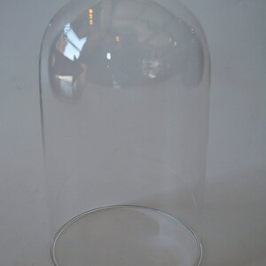 GLASS DOME - 4X7 - Steampunk Glass Case - Edison Lamp Case - Etsy