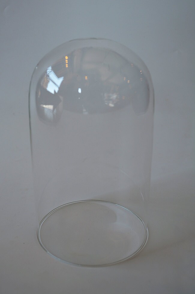 GLASS DOME - 4X7 - Steampunk Glass Case - Edison Lamp Case - Etsy