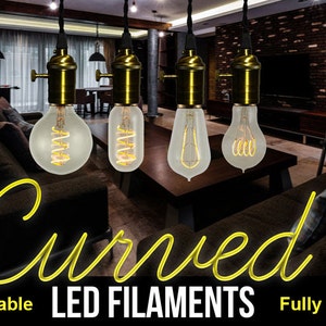 LED - A19 - Antique Loop Curved Filament - Dimmable - Edison Bulb ...