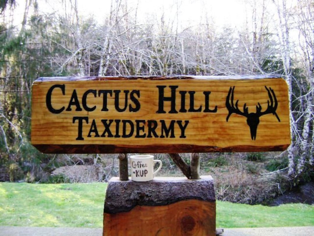CACTUS HILL TAXIDERMY Business Name Sign, Fence Drive Street Road House ...