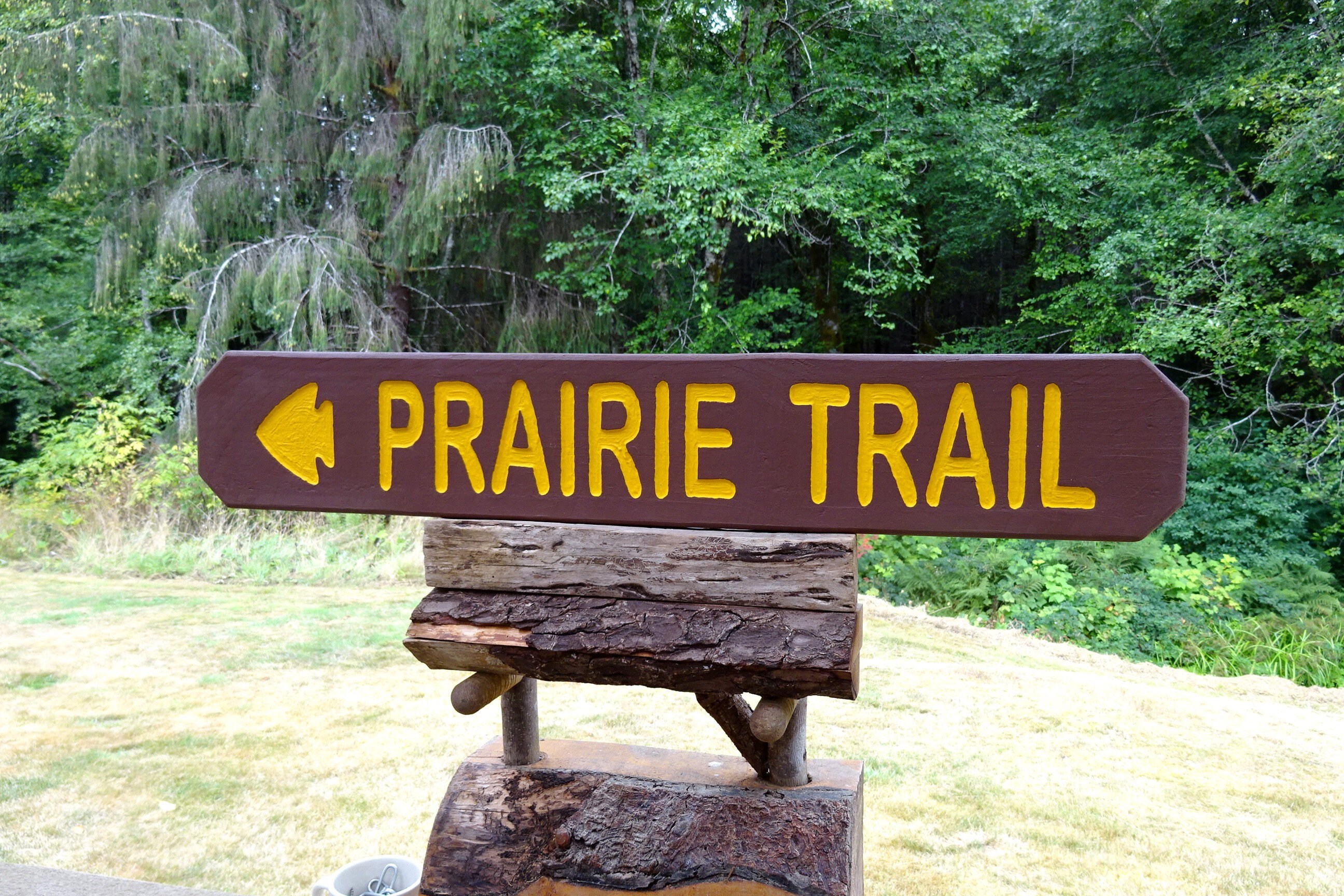 National Park Style Trail Sign, PRAIRIE TRAIL. Park Campground Sign ...