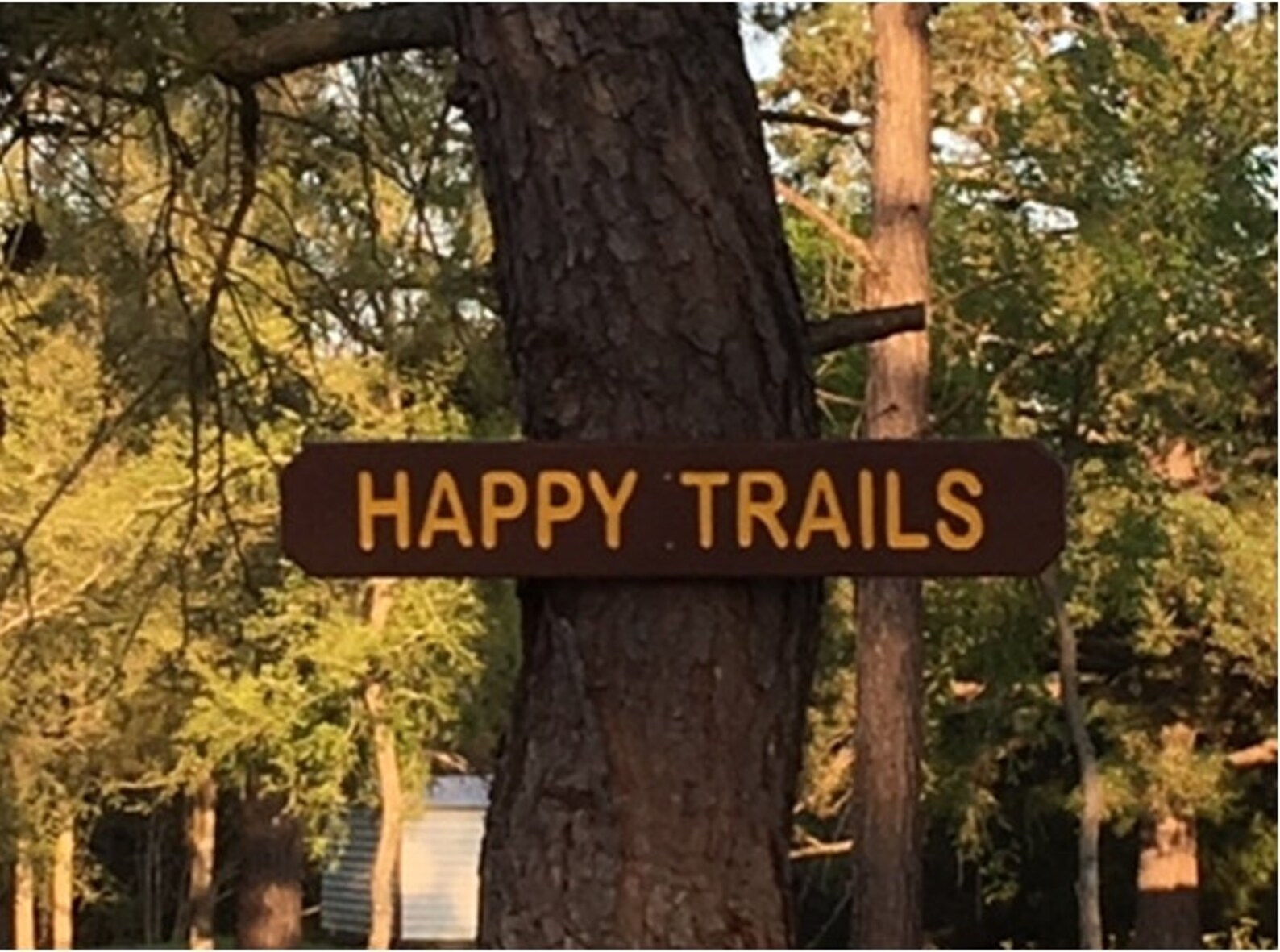 HAPPY TRAILS Inspirational sign Park style path trail road | Etsy