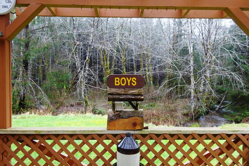 Vintage Park Style BOY’S Toilet Sign, Restroom Shower Bedroom Fort ...