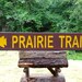 National Park Style Trail Sign PRAIRIE TRAIL. Park Campground - Etsy