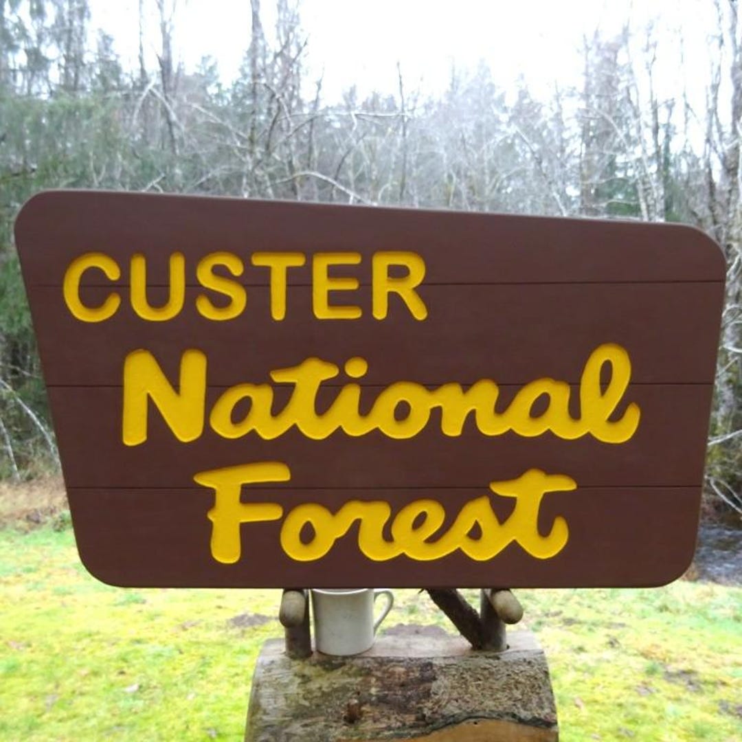 Forest Service Style CUSTER NATIONAL FOREST Park Welcome Sign, Driveway ...