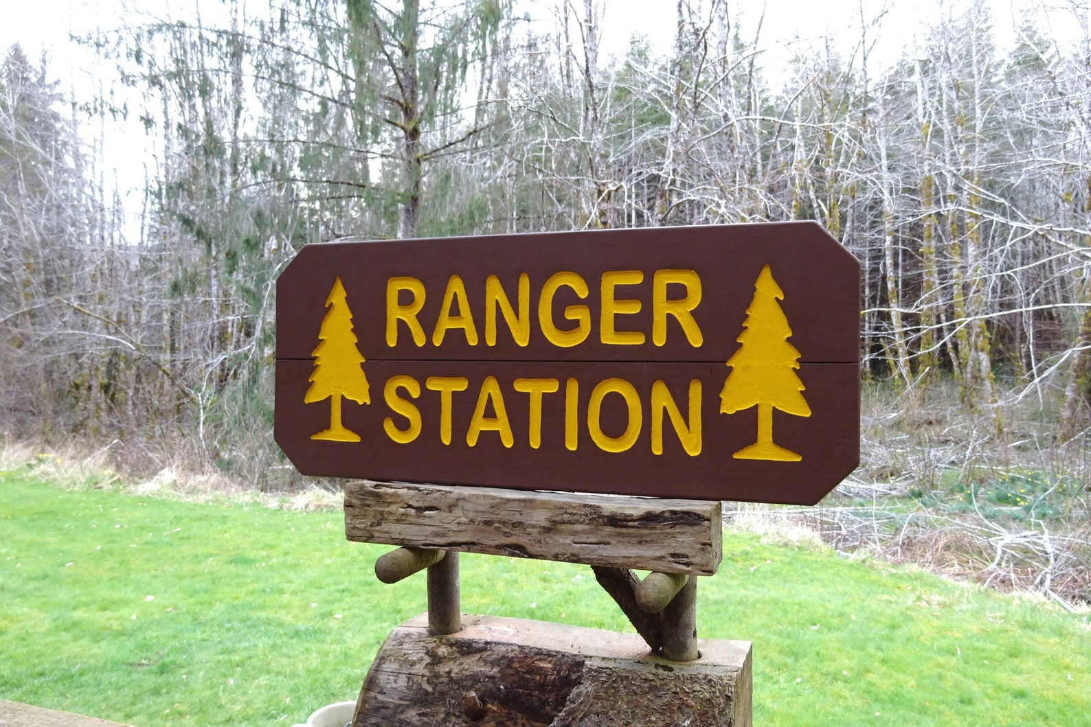 National Park Style RANGER STATION Sign With 2 Trees, Yard Cabin Lodge ...