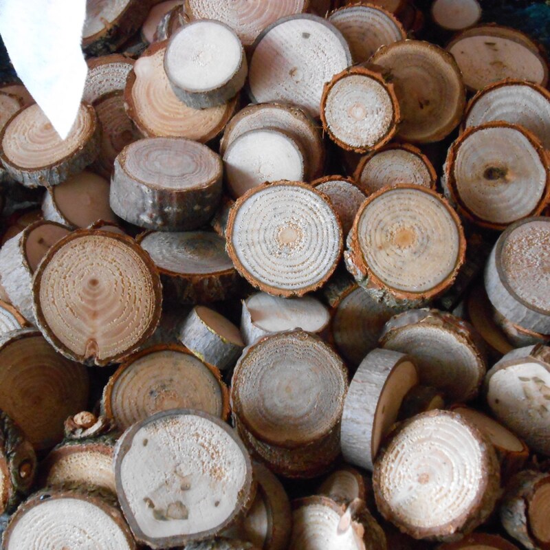 Rustic Wood Slices - Etsy