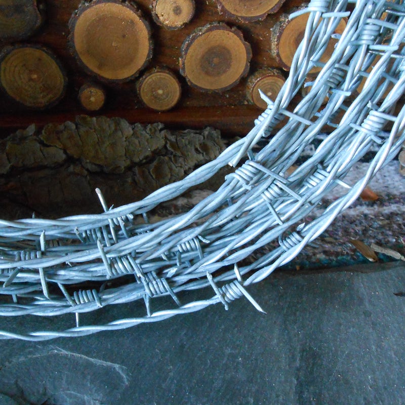 Barb Wire - Etsy