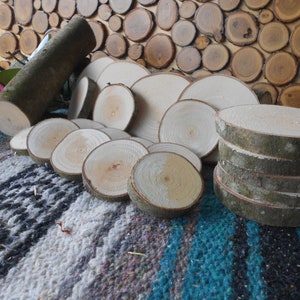 Maple...50 Piece 2 3 Rustic Tree Branch Slices for Crafts & Weddings ...