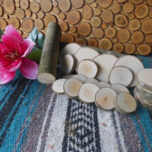 Maple...50 Piece 2 3 Rustic Tree Branch Slices for Crafts & Weddings ...