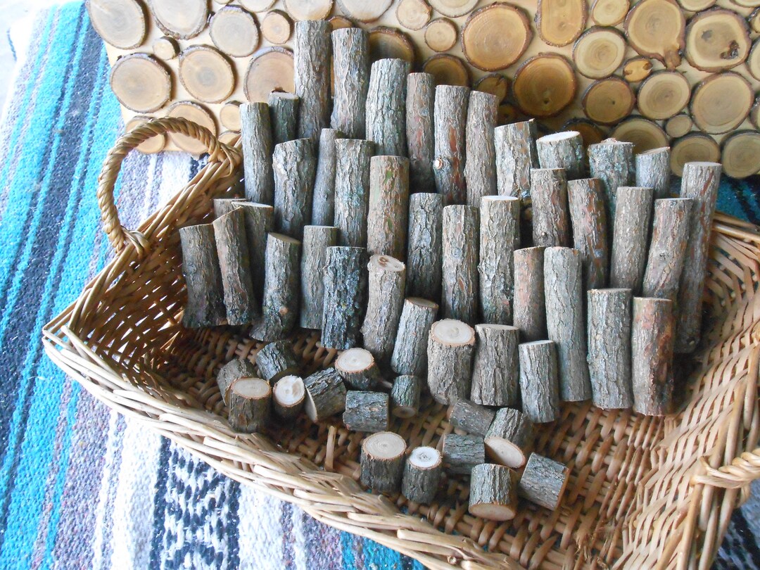 30 Pieces Sassafras Mini Logs for Crafts Weddings and Nature Display ...