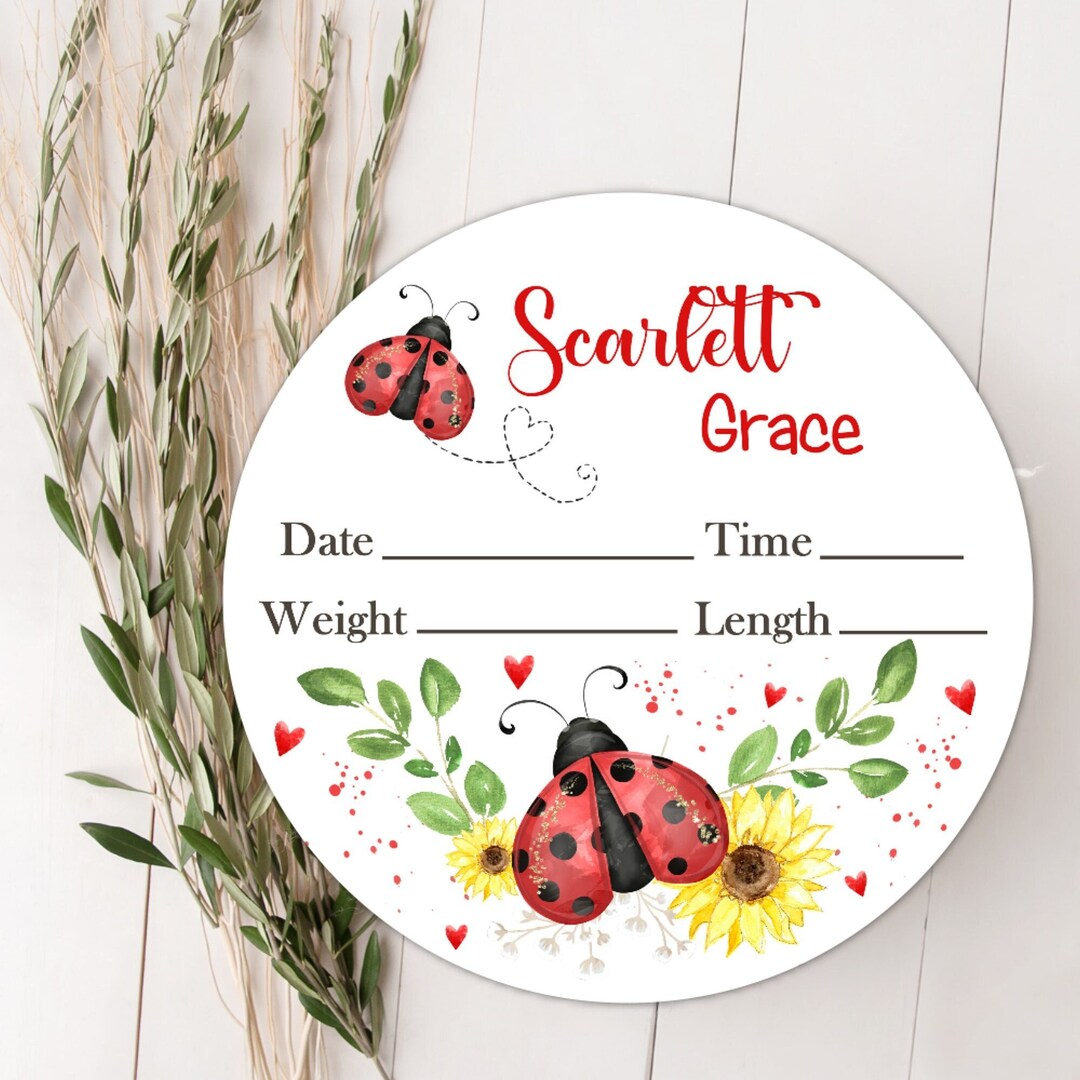 Baby Girl Birth Stat Name Sign, Ladybug Baby Sign Custom Baby Name Sign, Birth Announcement Sign ...