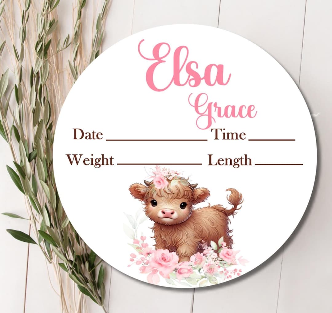 Personalized Girl Birth Stat Sign, Highland Cow Baby Sign, Custom Baby ...