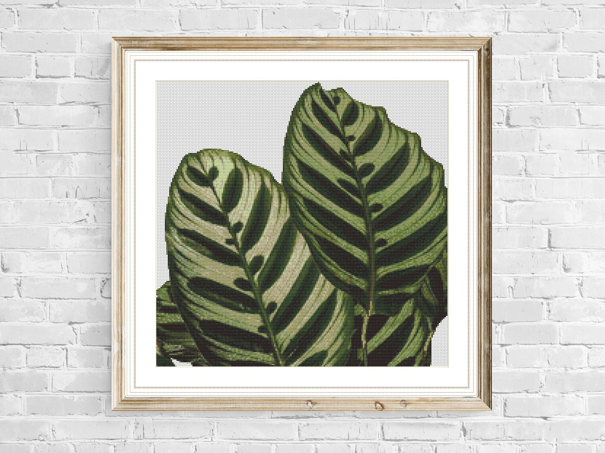 Calathea Cross Stitch Pattern Houseplant Xstitch Chart - Etsy