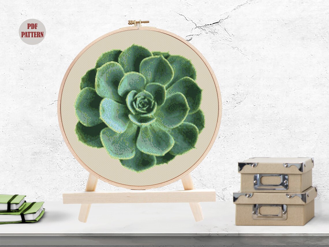 Succulent Cross Stitch Pattern Houseplant Xstitch Chart - Etsy