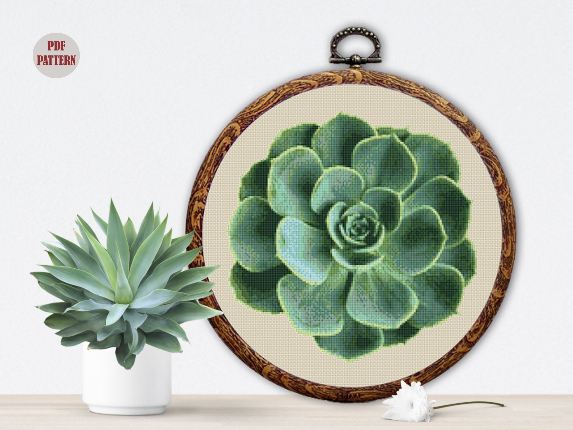 Succulent Cross Stitch Pattern Houseplant Xstitch Chart - Etsy