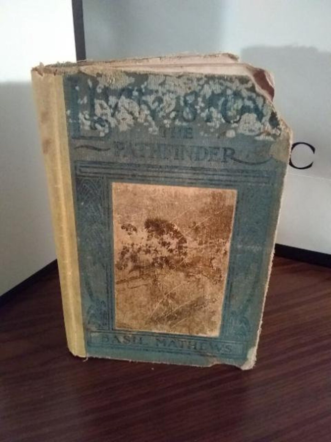 Livingston the Pathfinder by Basil Mathews, 1912 - Etsy