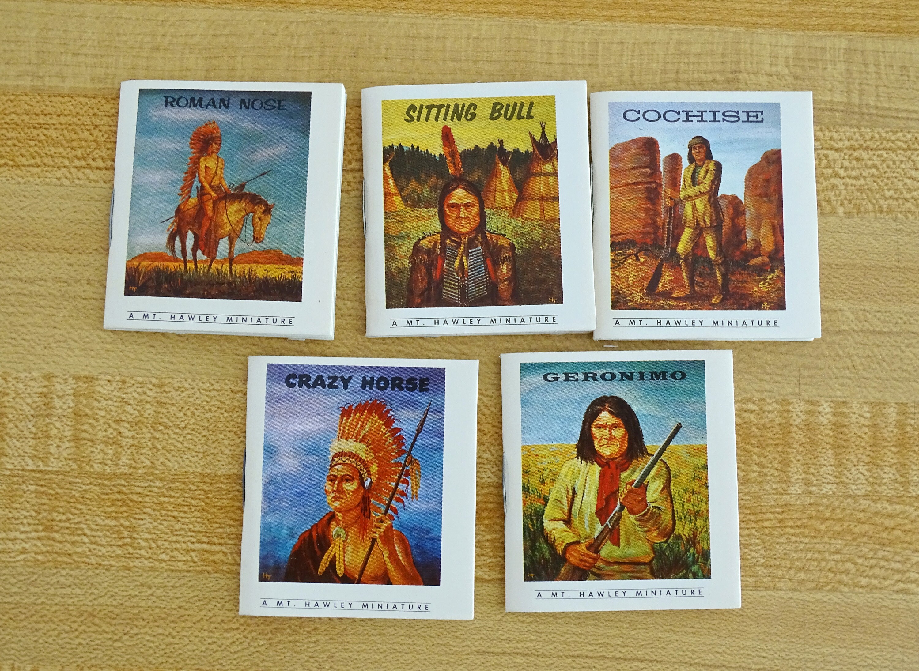 Native American Roman Nose