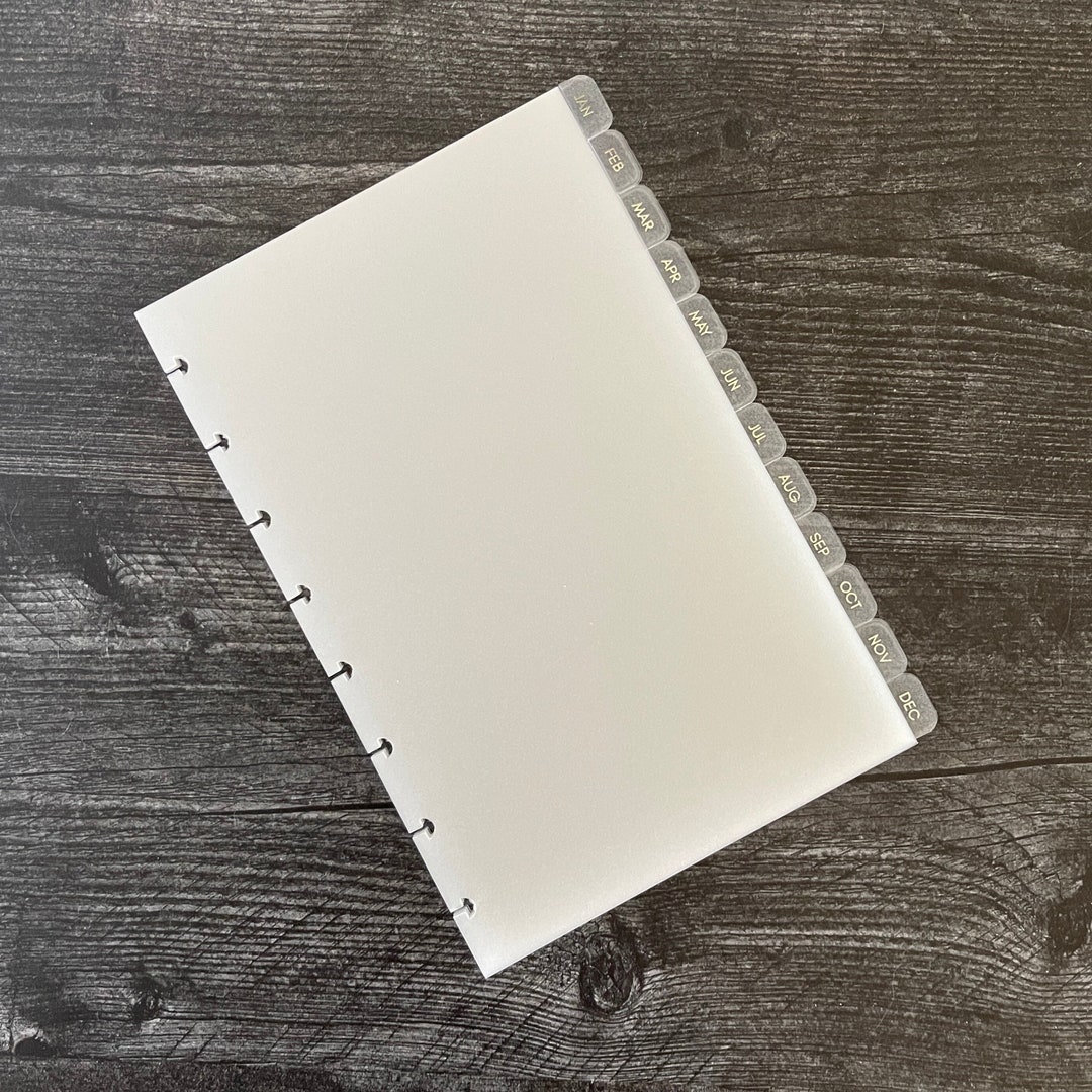 Frosted Discbound Dividers, 8-disc Punched, Set of 12 With Month ...