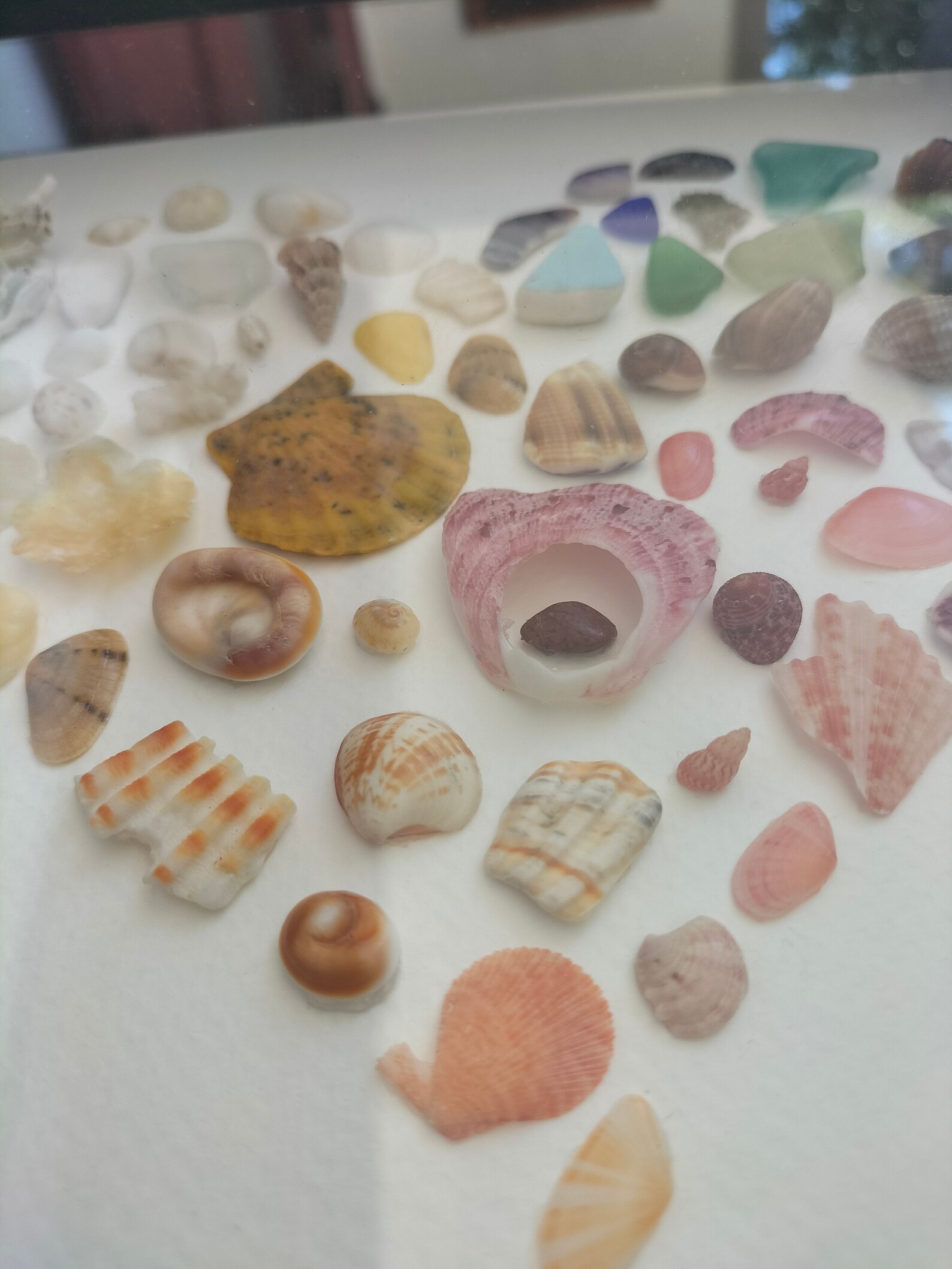 Handmade Heart Shape Sea Shell Wall Art Sea Glass Art Coastal Wall Art ...