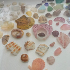 Handmade Heart Shape Sea Shell Wall Art - Sea Glass Art - Coastal Wall ...