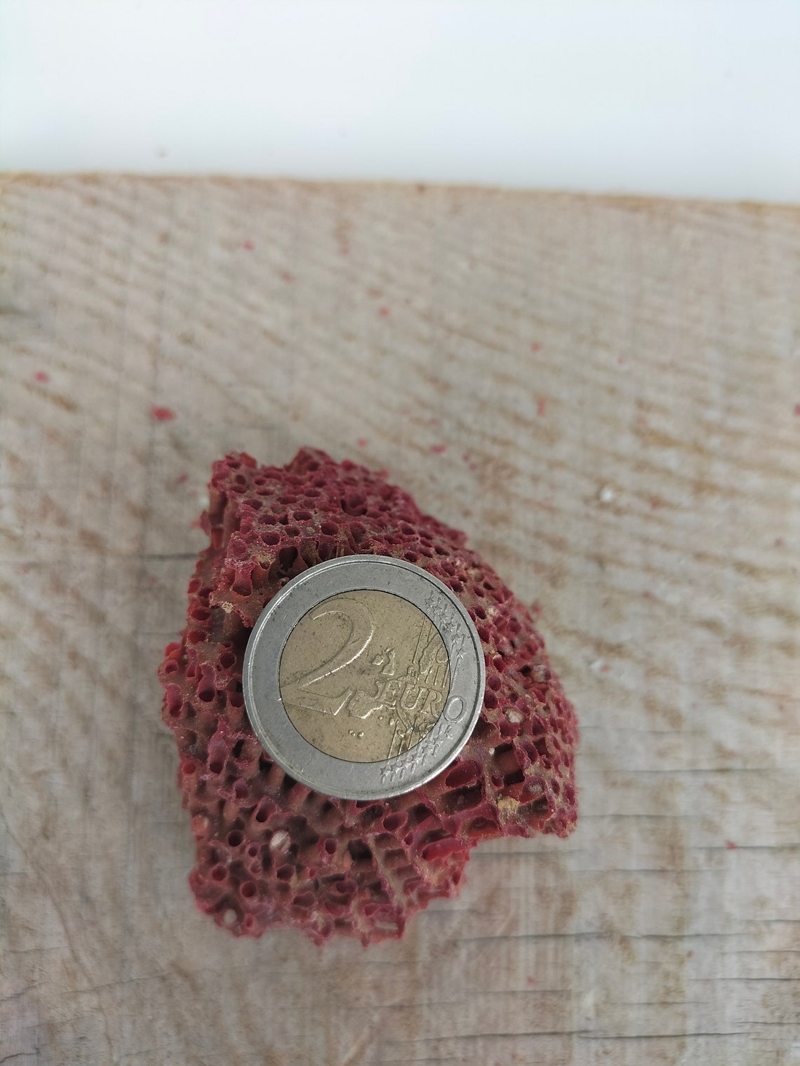 Natural Red Sea Coral Sea Coral Coral Coastal Living Red | Etsy