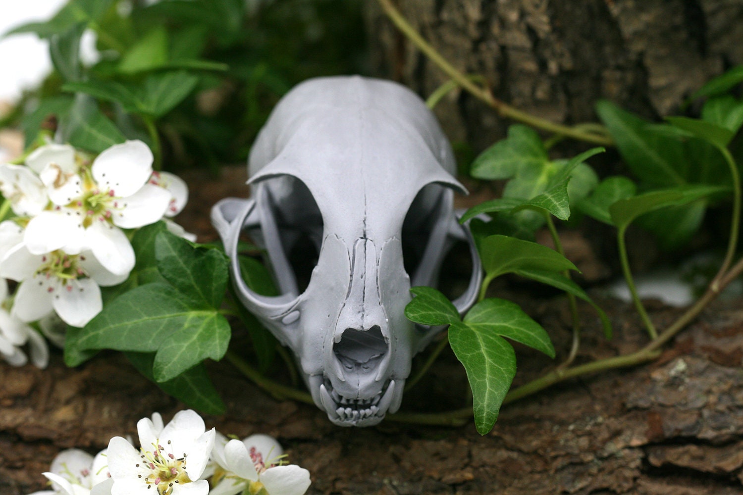 Unpainted Cat Replica Skull Faux Taxidermy Painted Skull | Etsy