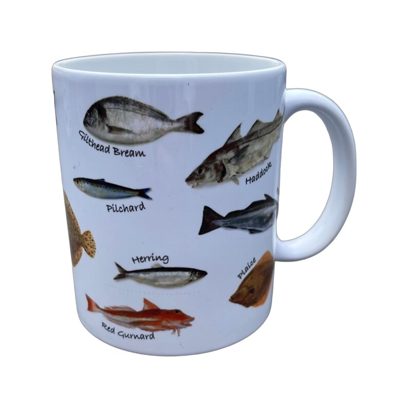Sea Fish Species Mug - Unique Design - Etsy