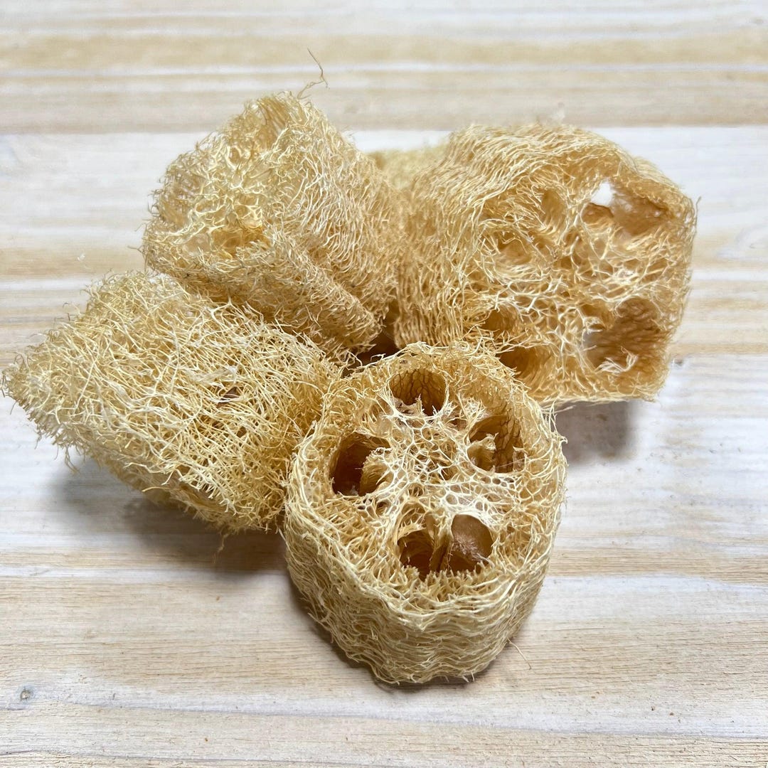 Natural Loofah Slices 100% Farm-grown, Package of 5 2 X 5 - Etsy
