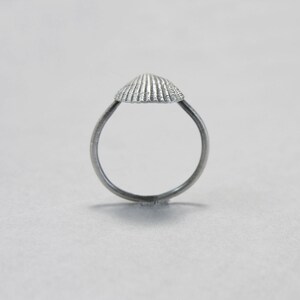 Seashell Ring, Scallop Shell Sterling Silver, Summer Beach Jewellery ...