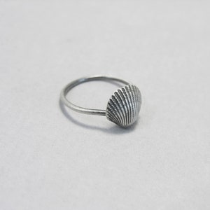 Seashell Ring, Scallop Shell Sterling Silver, Summer Beach Jewellery ...